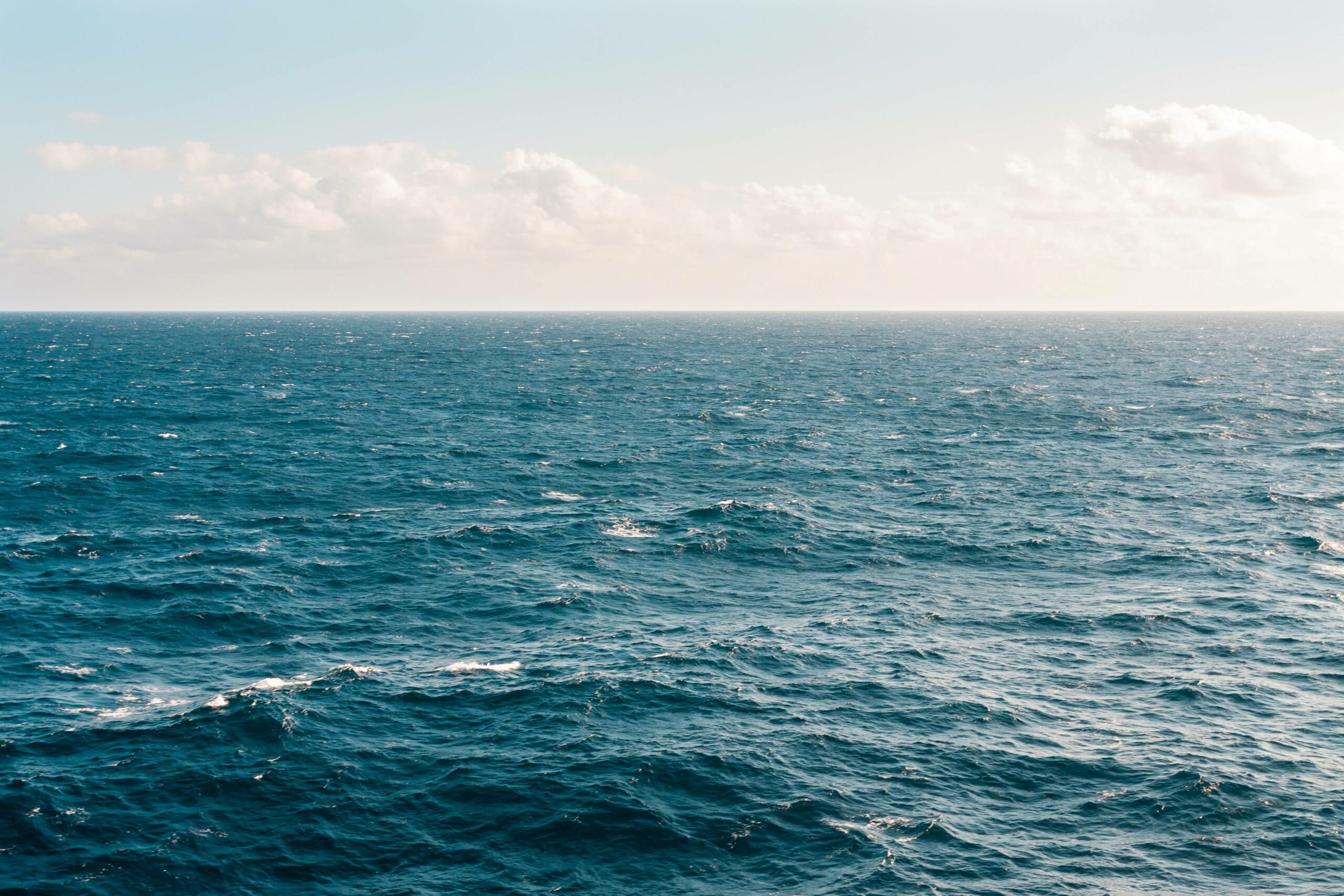 An Inclusive & Diverse Blue Economy | ECO Academy