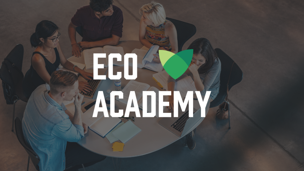 Skills Training Planner Form | ECO Academy