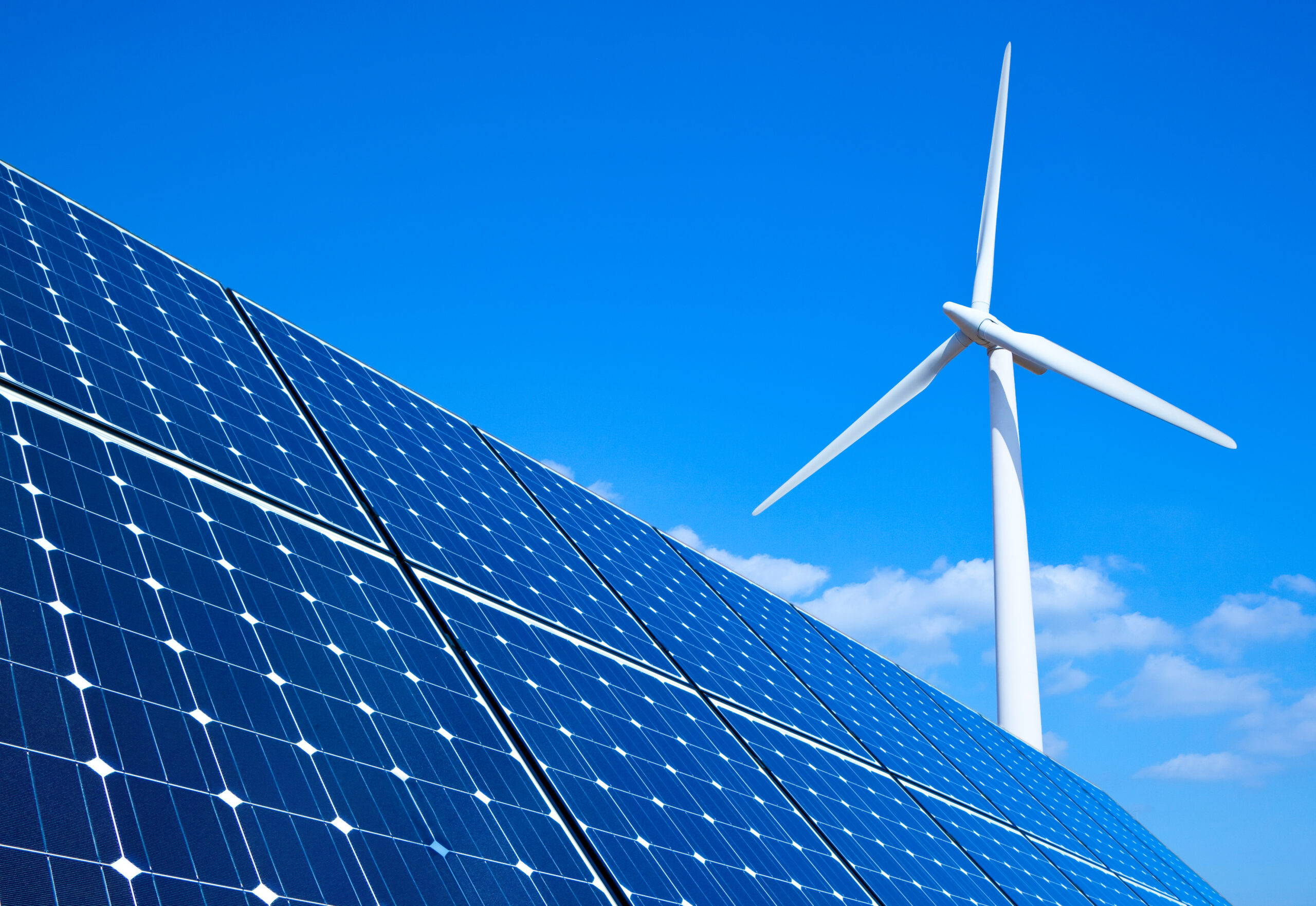 Environmental Courses in Canada | ECO Academy