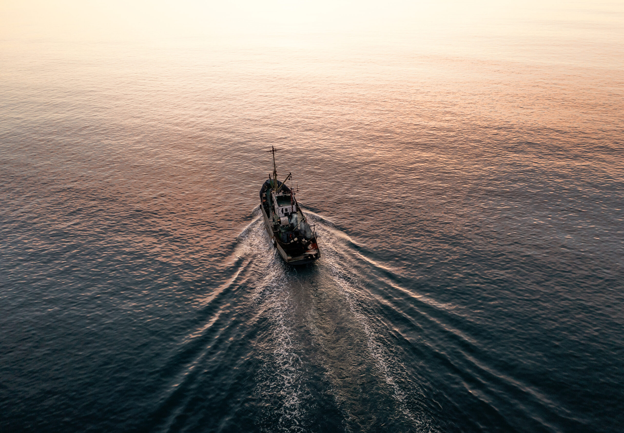 Workforce Development in Sustainable Fisheries & Aquaculture | ECO Academy
