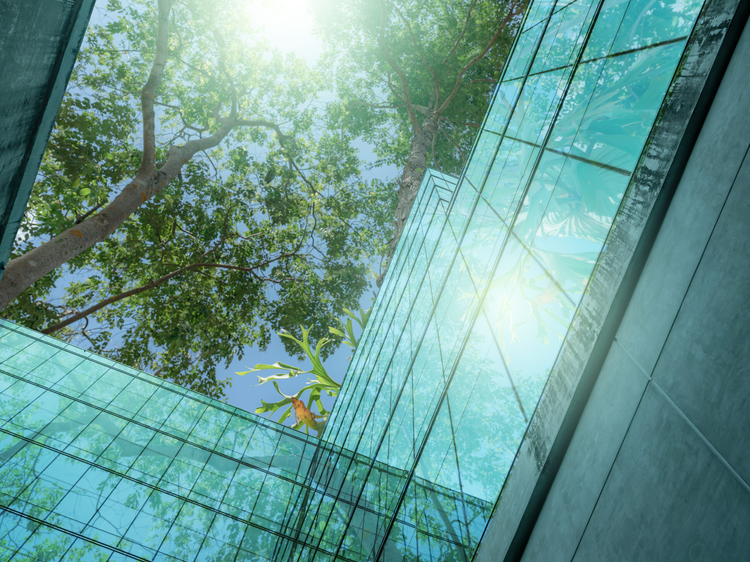 Energy-Efficient Building Codes for Indigenous Communities | ECO Academy